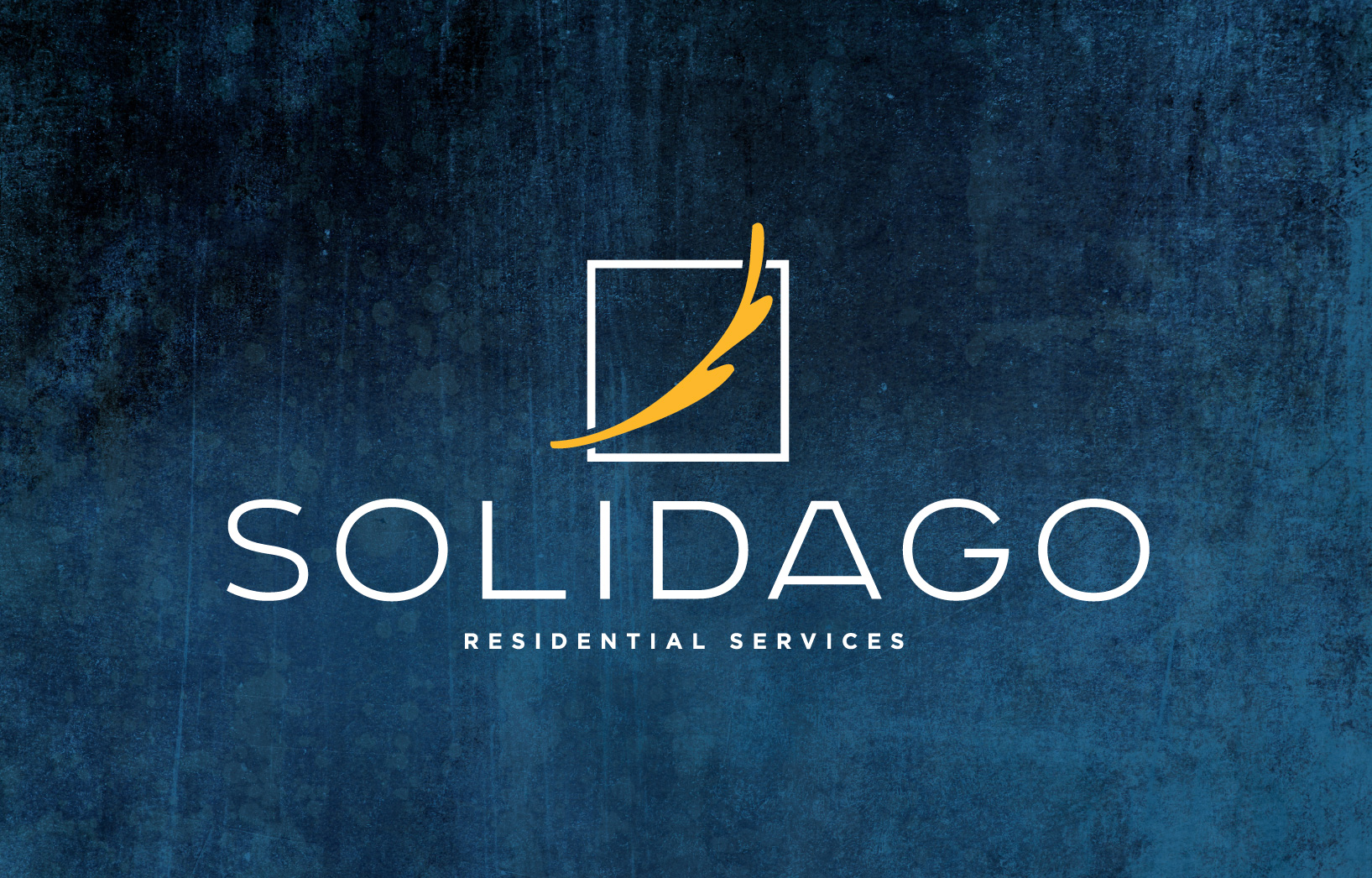 Solidago - Catalyst Marketing